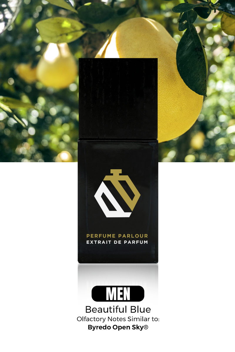 Beautiful Blue 0048 - Perfume Dupe Inspired by Open Sky® – Perfume ...