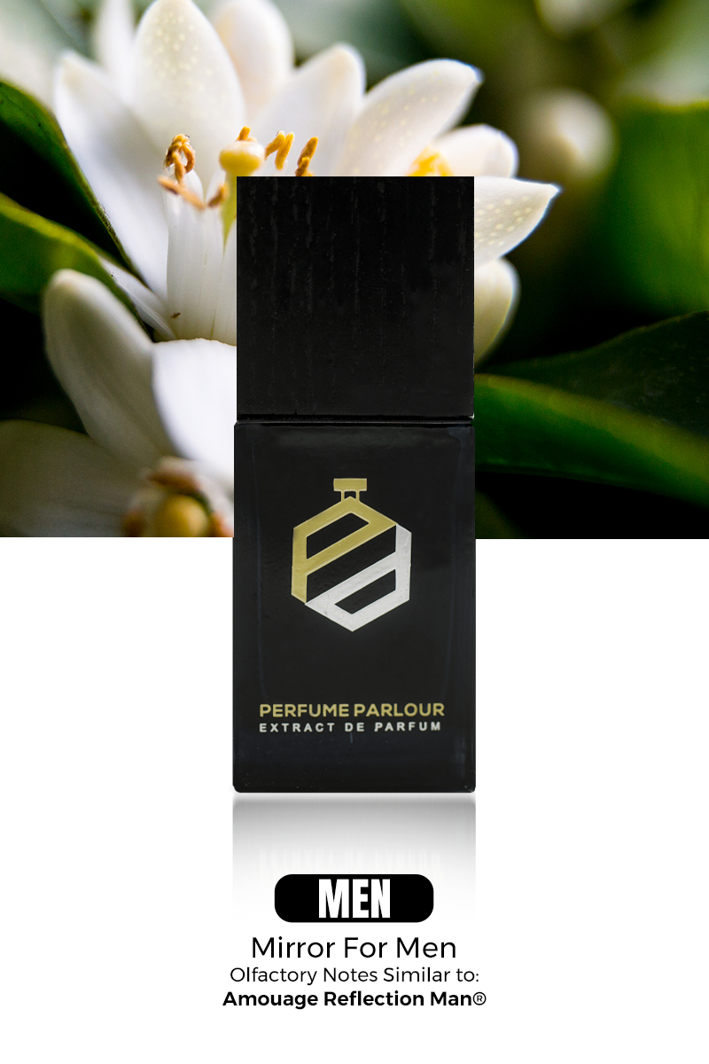 Mirror For Men 0647 | Reflection Man® Dupe Clone – Perfume Parlour USA
