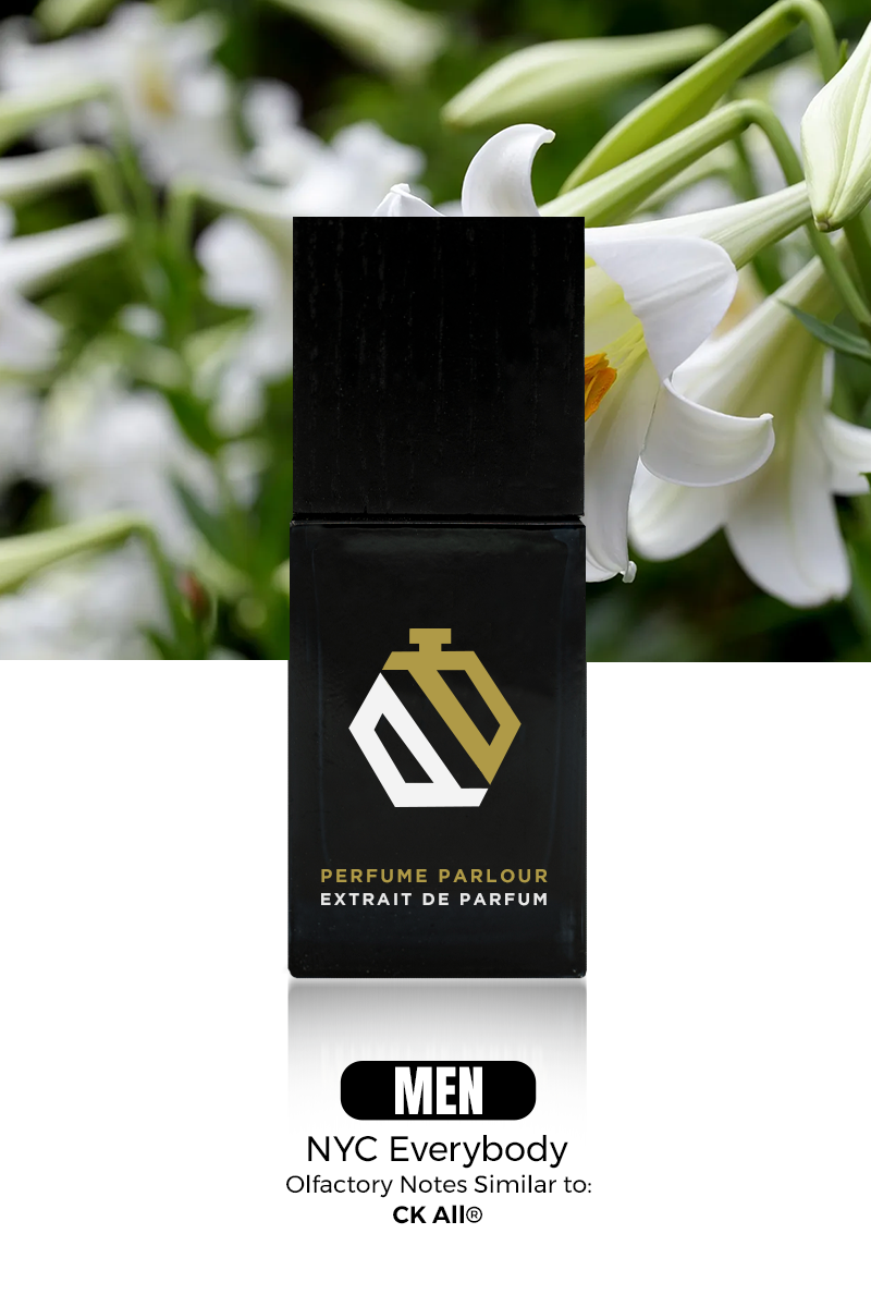 NYC Everybody 1691 - Perfume Dupe Inspired by All® – Perfume Parlour US