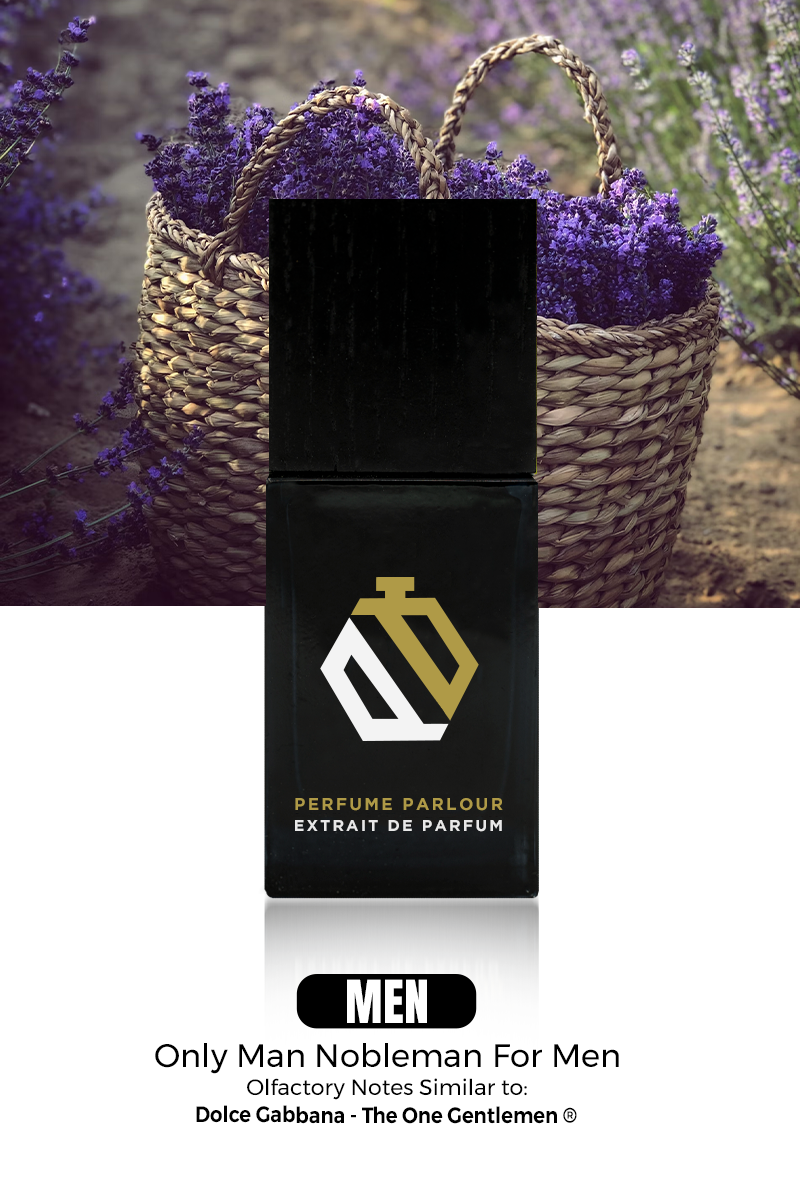 Only Man Nobleman For Men 0664 - Perfume Dupe Inspired by The One ...
