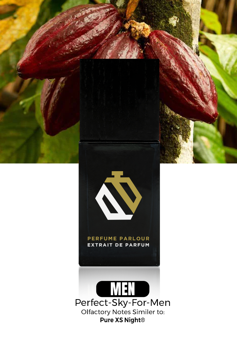 Perfect Sky For Men 1987 | Pure XS Night® Alternative | Pure XS Night ...